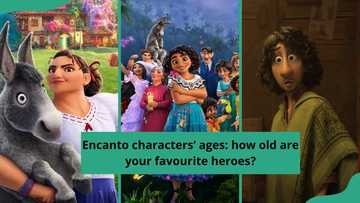 Encanto characters’ ages: How old are your favourite heroes? - Legit.ng