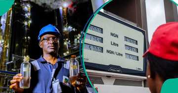 PETROAN Confirms N1,030 Petrol Price from Revamped Port Harcourt ...