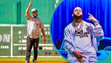 El Alfa net worth: a breakdown of the Dominican star's background ...