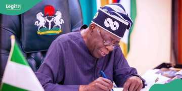 BREAKING: Tinubu’s Govt Declares June 12 Public Holiday to Celebrate ...