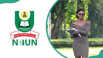 NOUN courses and fees in 2025/2026, duration and requirements - Legit.ng
