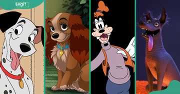 20+ iconic Disney dogs that defined our childhoods - Legit.ng
