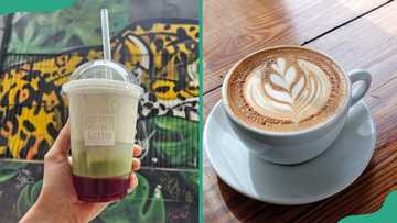 Shiro restaurant Lagos menu and price list: what to expect - Legit.ng