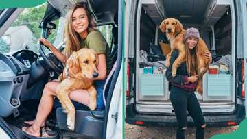 Does Lee Asher have a wife? A look at his relationships - Legit.ng