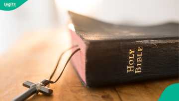 UK Bible Sales Reach Record High as Young People Seek to Understand ...