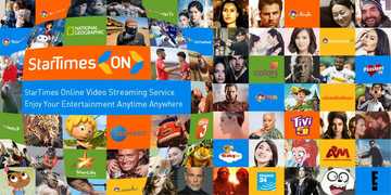 StarTimes subscription packages, prices and channels 2024 - Legit.ng