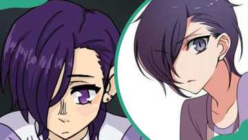 20+ iconic characters with purple hair from movies and animation - Legit.ng