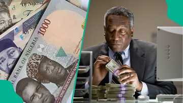 Over 3 million BDC operators face shutdown over N2 billion capital rule ...