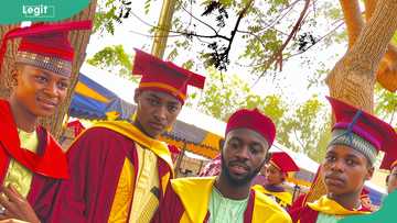 Federal Polytechnic Daura courses and admission requirements - Legit.ng