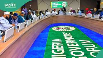 Minimum Wage: Jubilation As 17 Governors Agree to Pay Workers N70,000, Set Up Panels - Legit.ng