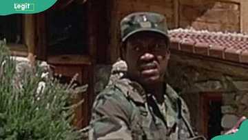 A look at Commando cast then and now: the cast's evolution over the ...