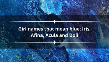 Blue names: 30 names that mean blue and their origins - Legit.ng