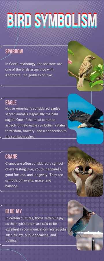 Bird symbolism: 10 common birds and their spiritual meaning - Legit.ng