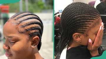 25 straight-back cornrows ideas and how to style them - Legit.ng