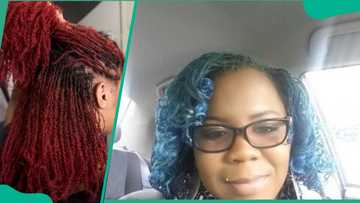 40 great sisterlocks styles that are trendy yet easy to pull off - Legit.ng