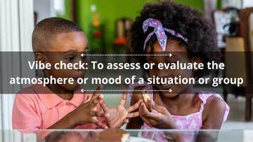 50 Gen Alpha slang words that parents and teachers have to know - Legit.ng