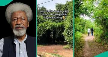 "Looks Scary": Man Displays Professor Wole Soyinka's House in Forest, Video Leaves People ...
