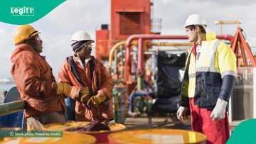 Nigerian Energy Company Set to Buy Stake in Chappal Energies - Legit.ng