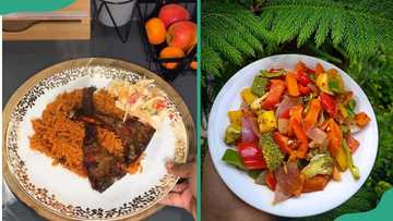 Cactus Restaurant Lagos menu and price list: what to expect - Legit.ng