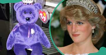 How much is a Princess Diana Beanie Baby worth? Here is how to tell ...