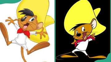 10+ popular Mexican cartoon characters we all love and remember - Legit.ng