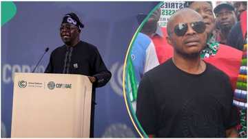 FG Announces When New Minimum Wage Will Finally Take Effect - Legit.ng