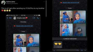 Sister Leaks Funny WhatsApp Chat With Brother After Sending Her Photos ...