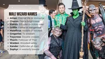 100+ enchanting wizard last names and first names for your magical ...