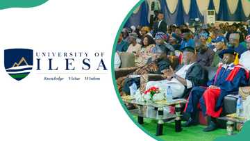 University of Ilesa courses, fees and cut-off mark - Legit.ng
