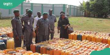 Nigeria Customs to Auction Seized Petrol at N400 Per Litre - Legit.ng