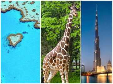 What is the biggest thing in the world? Largest items on earth - Legit.ng