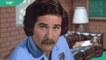 Emergency! TV show cast: Where are the talented actors now? - Legit.ng