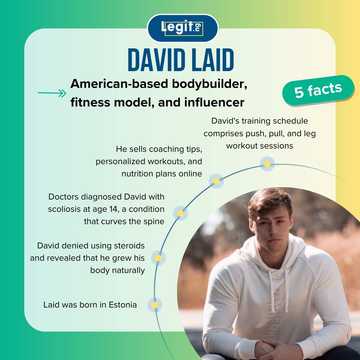 Who is David Laid? Age, height, girlfriend, work out routine - Legit.ng