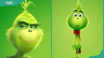 28 memorable green characters from cartoons, movies, and anime - Legit.ng