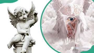 What are Biblically accurate angels supposed to look like? - Legit.ng