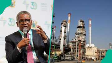 Lower Fuel Prices Expected as PETROAN Enters Supply Agreement With Dangote Refinery - Legit.ng