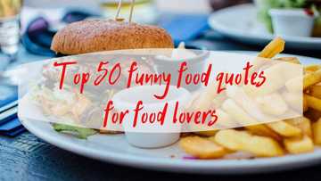 Top 50 funny food quotes for food lovers - Legit.ng