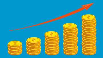 Structural Adjustment Programme in Nigeria: objectives, effects, and ...