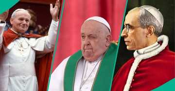 Pope Francis' Death: List of 266 Powerful Popes Who Have Led the ...