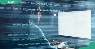 Software engineer salary in Nigeria: Understanding the local pay scale - Legit.ng