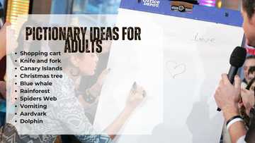 490+ Pictionary ideas: easy, medium and hard ideas for every category ...