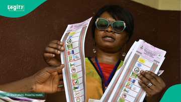 Breaking: ADC Pushes at Top APC Senator's Polling Unit in Ekiti Guber ...