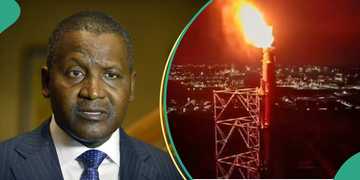 "Renewed Hope is Here": APC UK Reacts as Dangote Refinery Begins Production of Diesel - Legit.ng