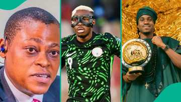 Osimhen: Rufia Oseni Backs Call to Drop Striker After Heated AFCON ...