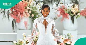 JP 2025: Sophia Momodu Shares Video of Hilarious Moment Imade Schooled Her at Priscy's Wedding ...