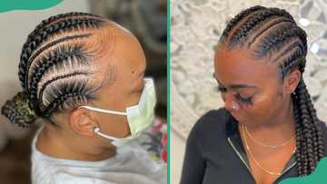 25 straight-back cornrows ideas and how to style them - Legit.ng