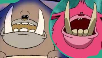 What are the Chowder characters? The creatures and voice actors ...