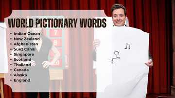 490+ Pictionary ideas: easy, medium and hard ideas for every category ...