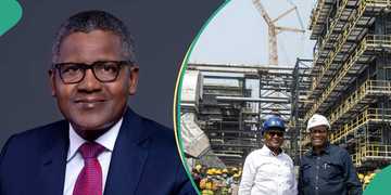 Dangote Refinery Set to Get Crude Oil Supply From US, Hints at Delivery Date - Legit.ng