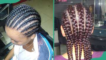 25 straight-back cornrows ideas and how to style them - Legit.ng